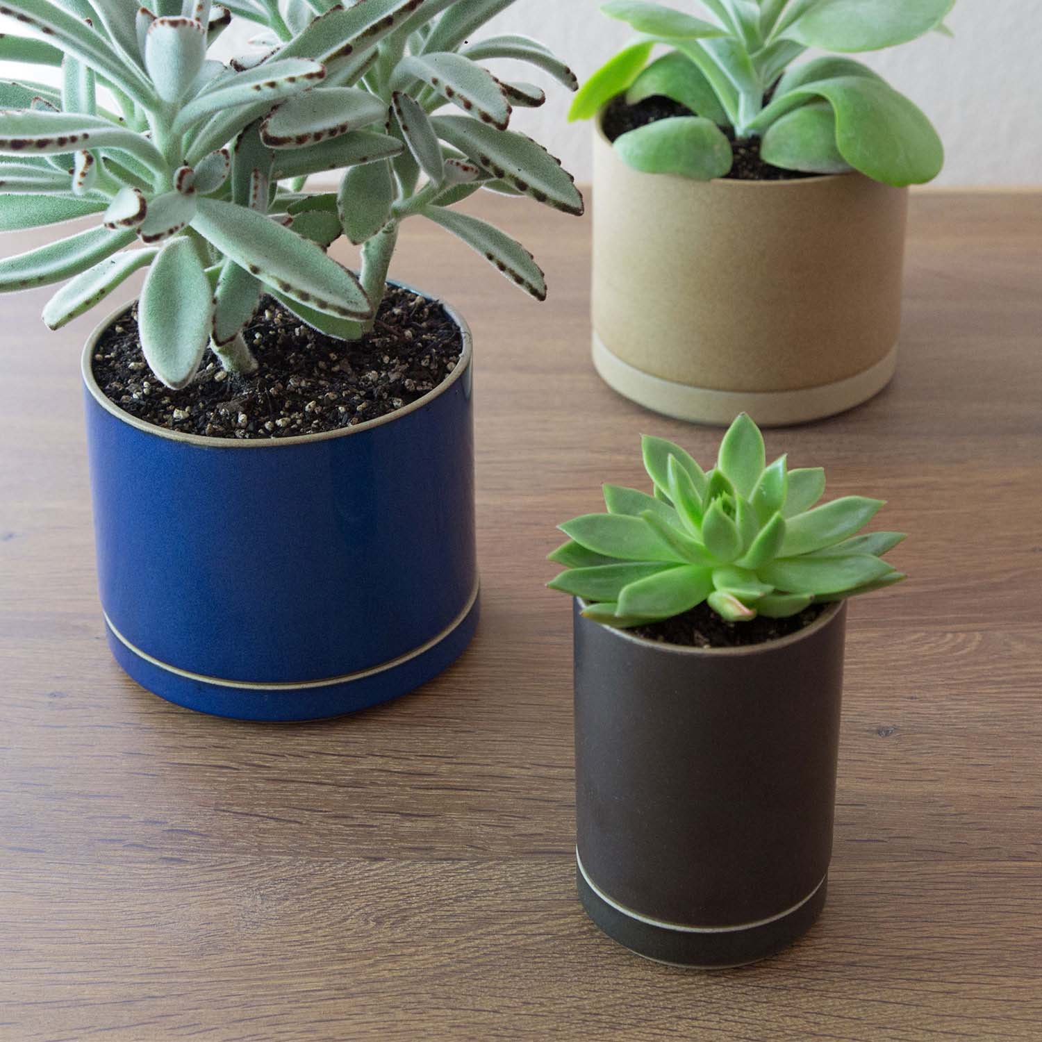 Hasami Porcelain - Planter Set - Large – JINEN
